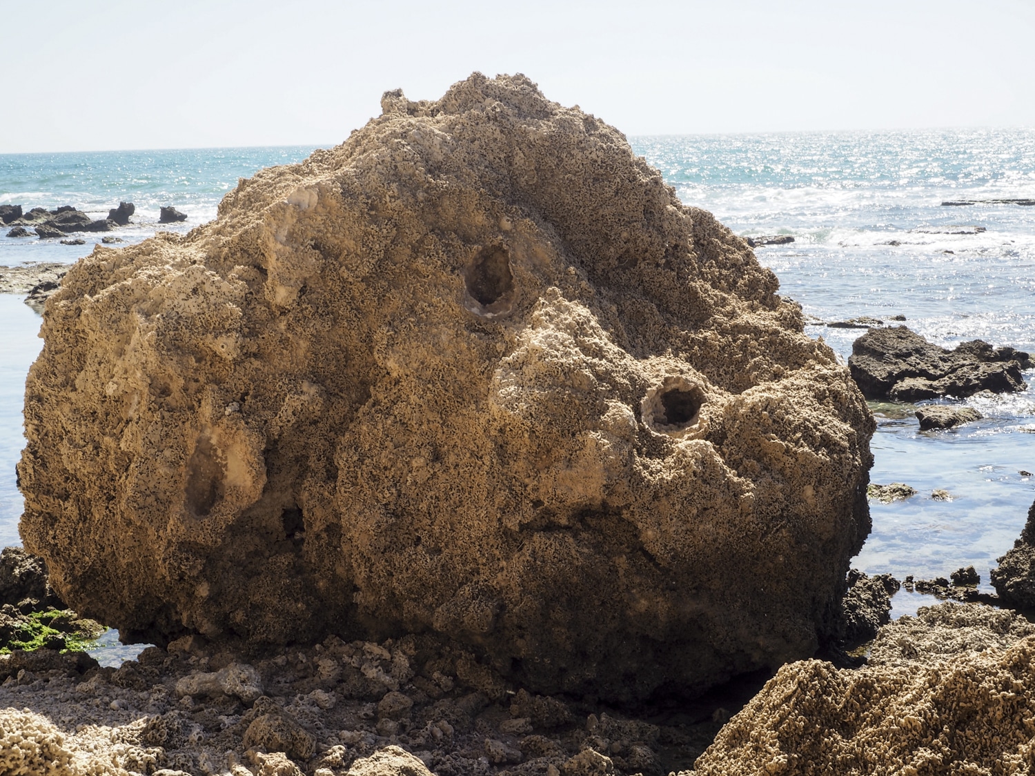 Seeing Faces: the phenomenon known as pareidolia - MISH AMINOFF