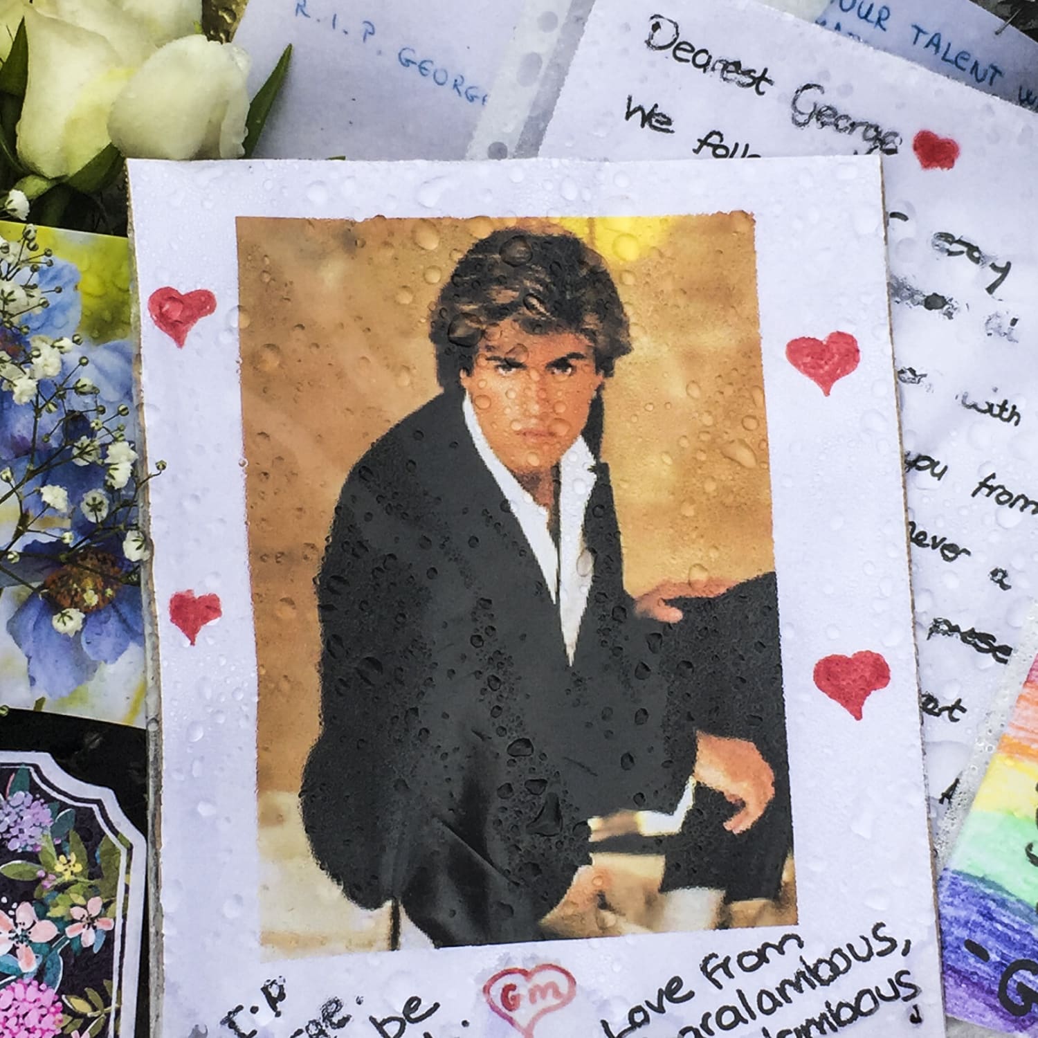 George Michael: George's Garden in Autumn - MISH AMINOFF