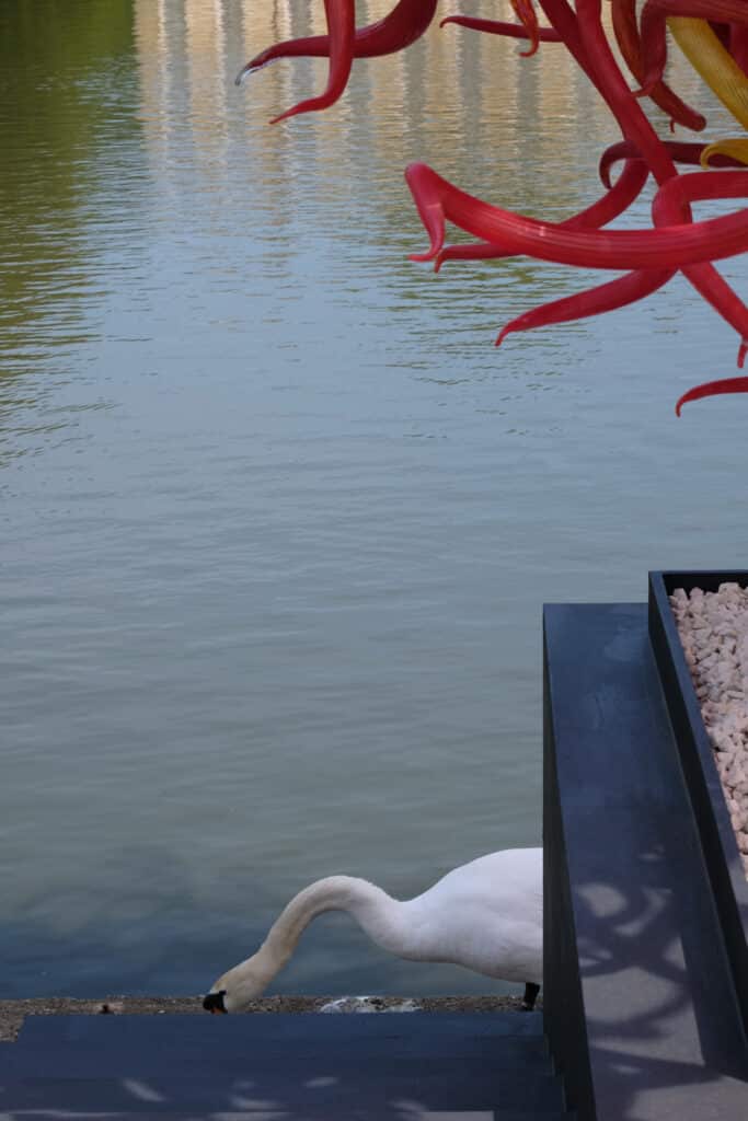 Glass Sculptures and Installations - MISH AMINOFF