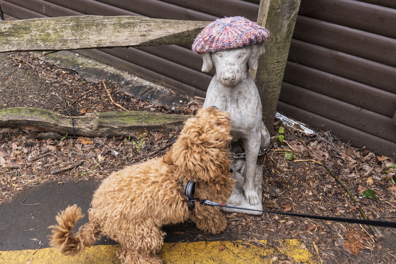 Representations of Animals in the Neighbourhood - MISH AMINOFF