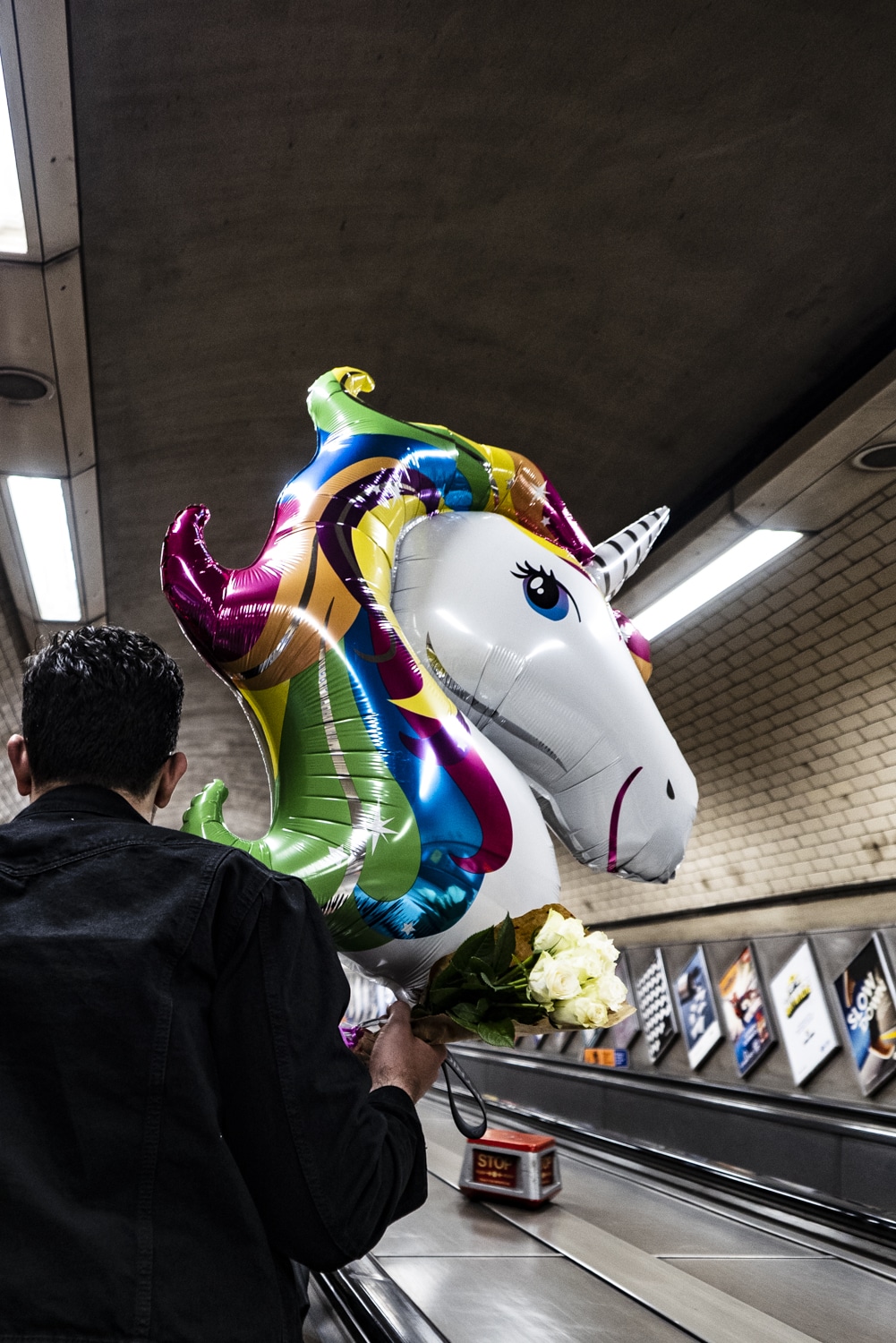 Representations of Animals in the Neighbourhood - MISH AMINOFF