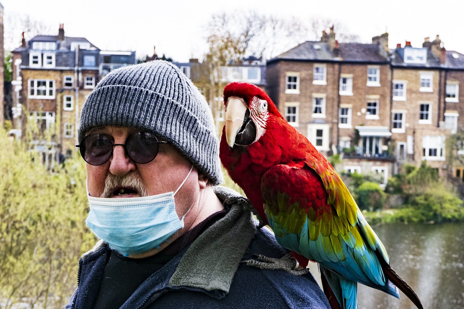 Representations of Animals in the Neighbourhood - MISH AMINOFF