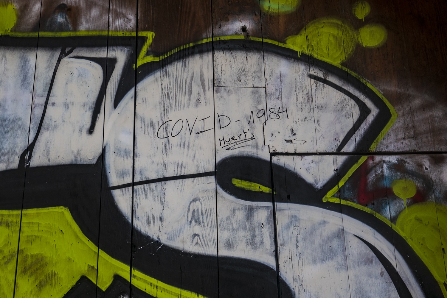 George Orwell and Graffiti - MISH AMINOFF