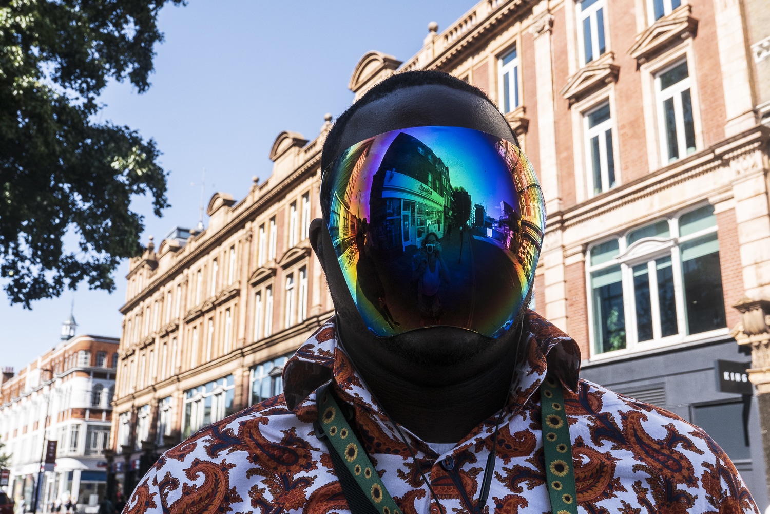 Seeing Sunflowers - MISH AMINOFF