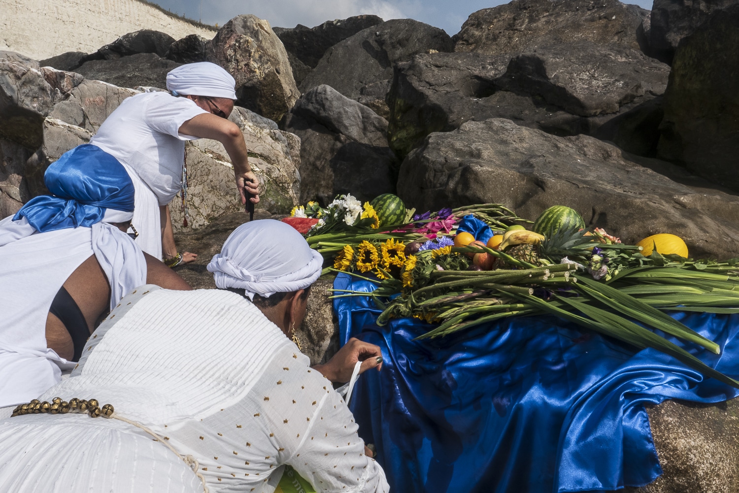 Seeing Sunflowers - MISH AMINOFF