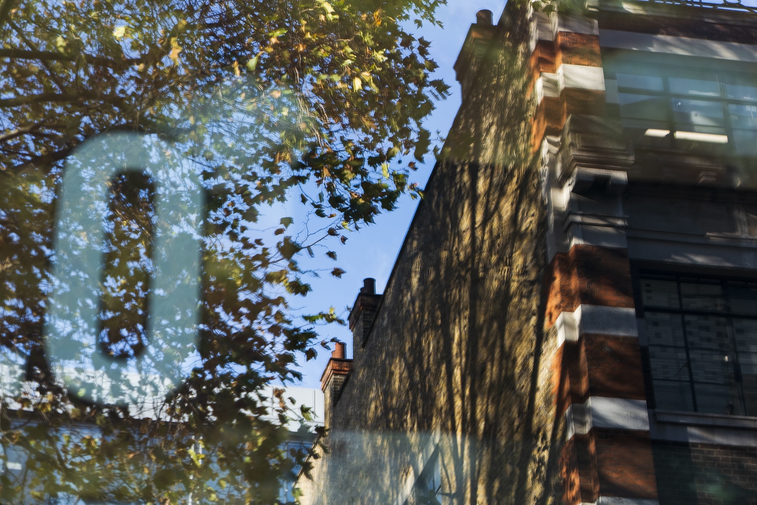 Autumn 2022 - A Leafy Diary - MISH AMINOFF