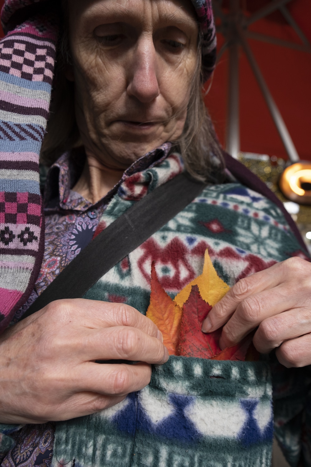 Autumn 2022 - A Leafy Diary - MISH AMINOFF