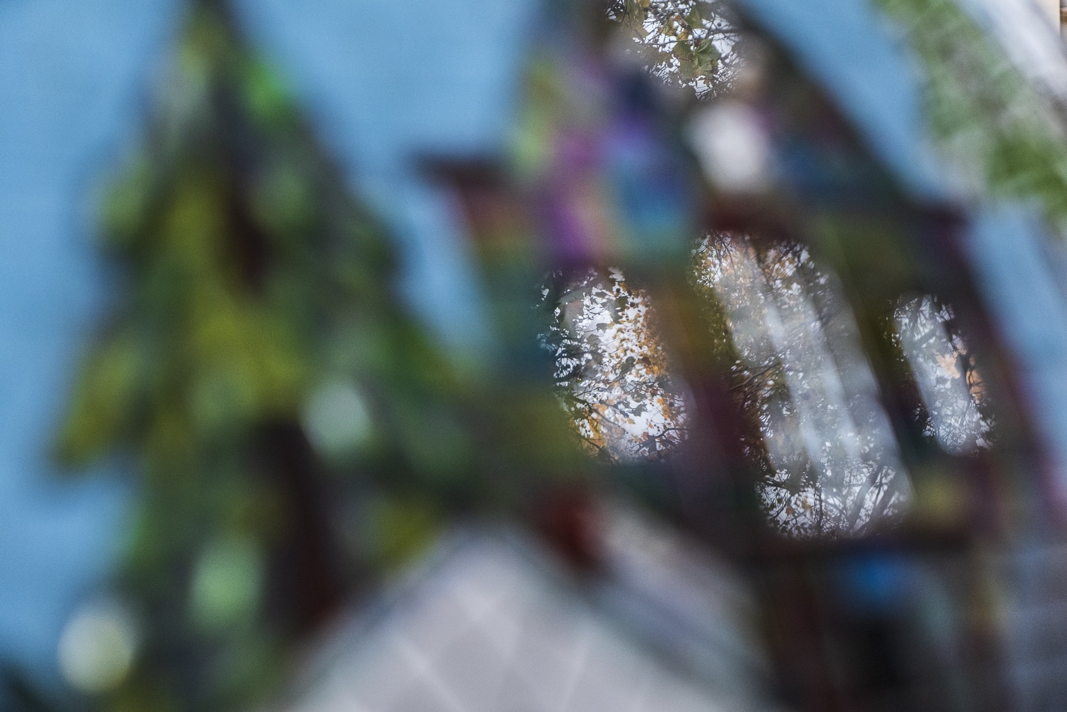 Autumn 2022 - A Leafy Diary - MISH AMINOFF