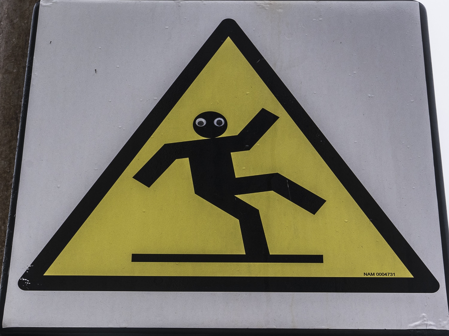 Googly Eyes & Eyebombing - A Photographic Collection of my Favourite ...