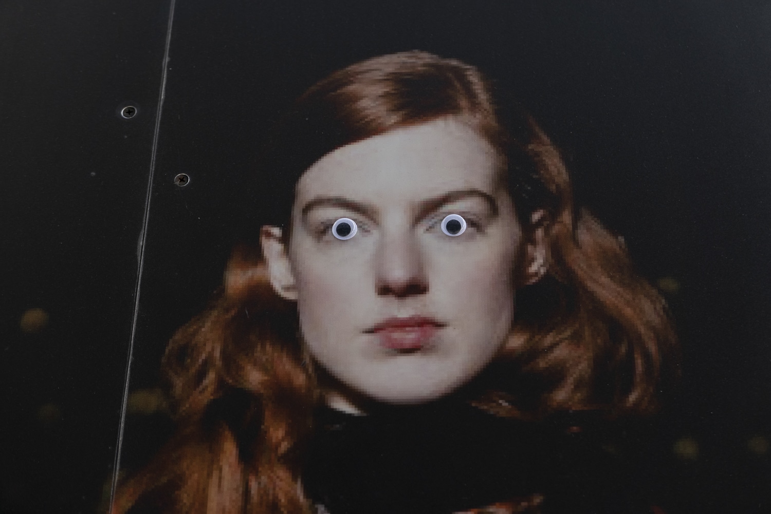 Googly Eyes & Eyebombing - A Photographic Collection of my Favourite ...