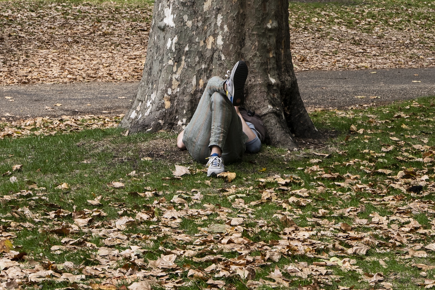 Autumn 2022 - A Leafy Diary - MISH AMINOFF