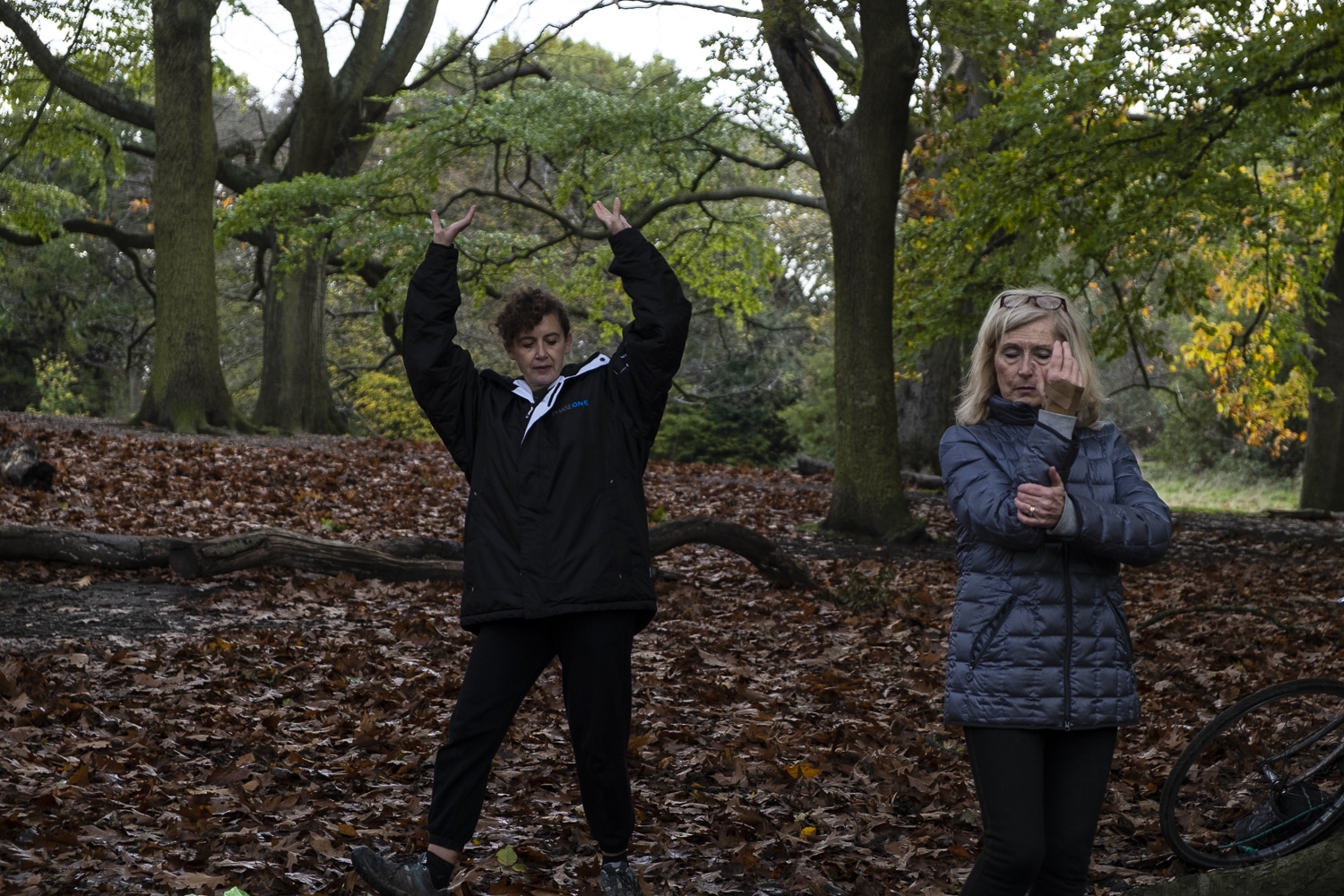 Autumn 2022 - A Leafy Diary - MISH AMINOFF