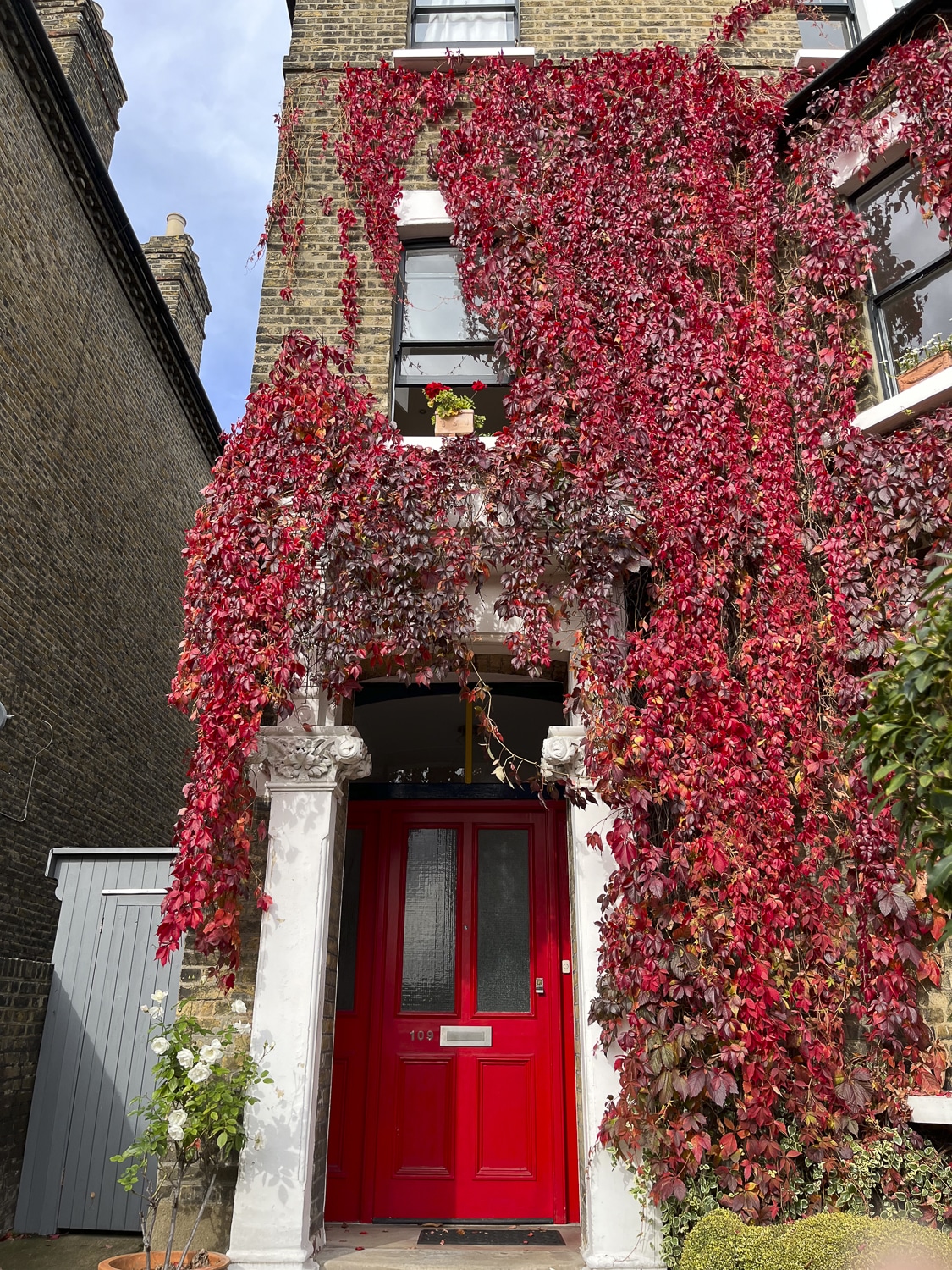 Autumn 2022 - A Leafy Diary - MISH AMINOFF