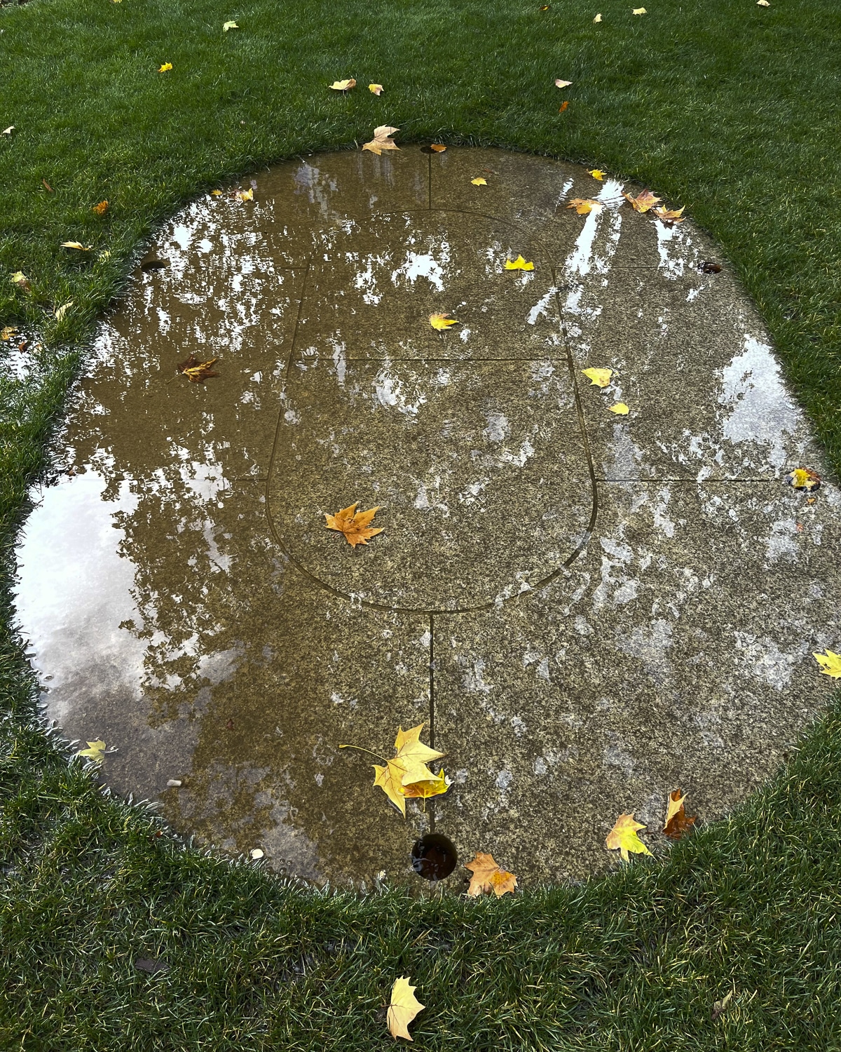 Autumn 2022 - A Leafy Diary - MISH AMINOFF