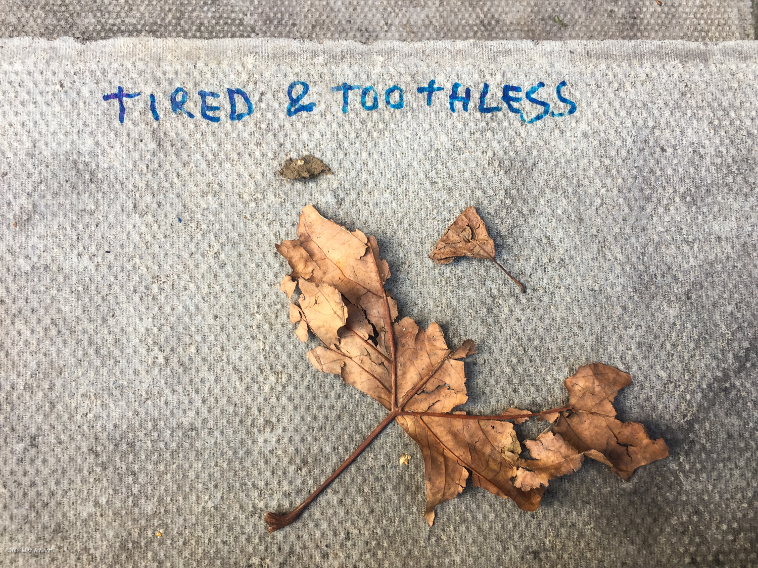 VISUAL HAIKU - MISH AMINOFF